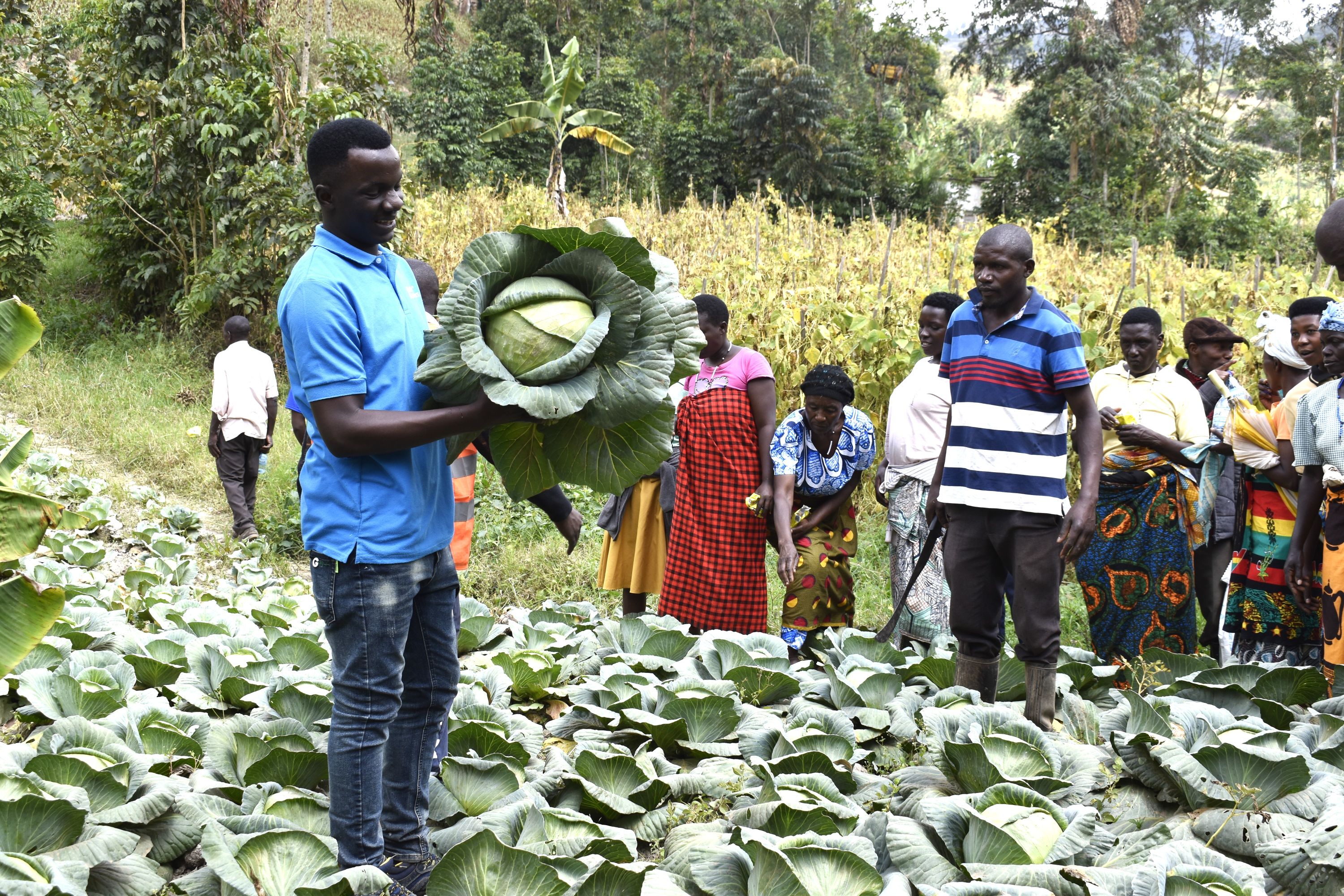 Our Services - Home Harvest