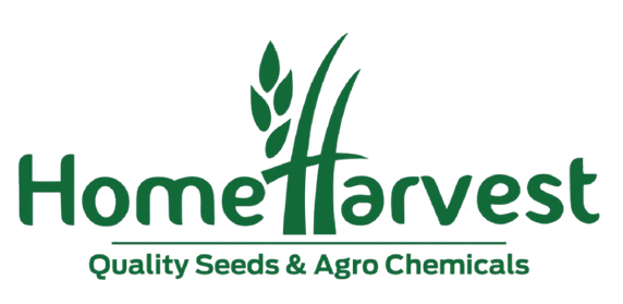 Our Services - Home Harvest